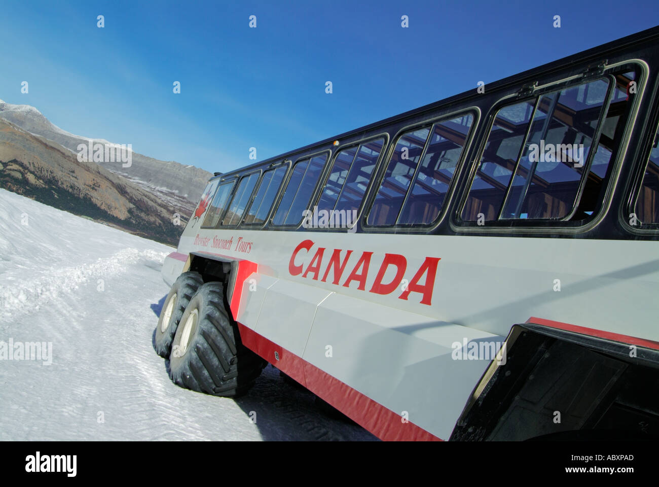 Glacier ice explorer bus hi-res stock photography and images - Alamy