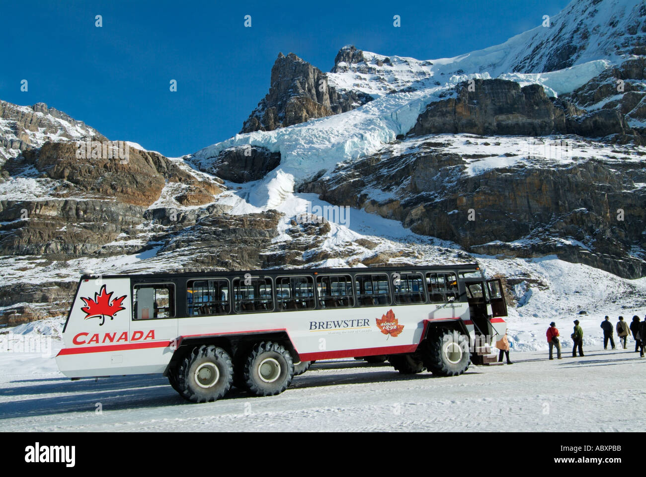 Athabasca glacier snow coach tour hi-res stock photography and images ...