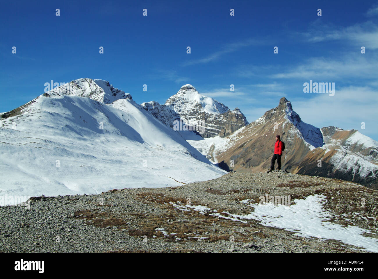 Female tourist on Parker Ridge looking at Mount Athabasca Icefields ...