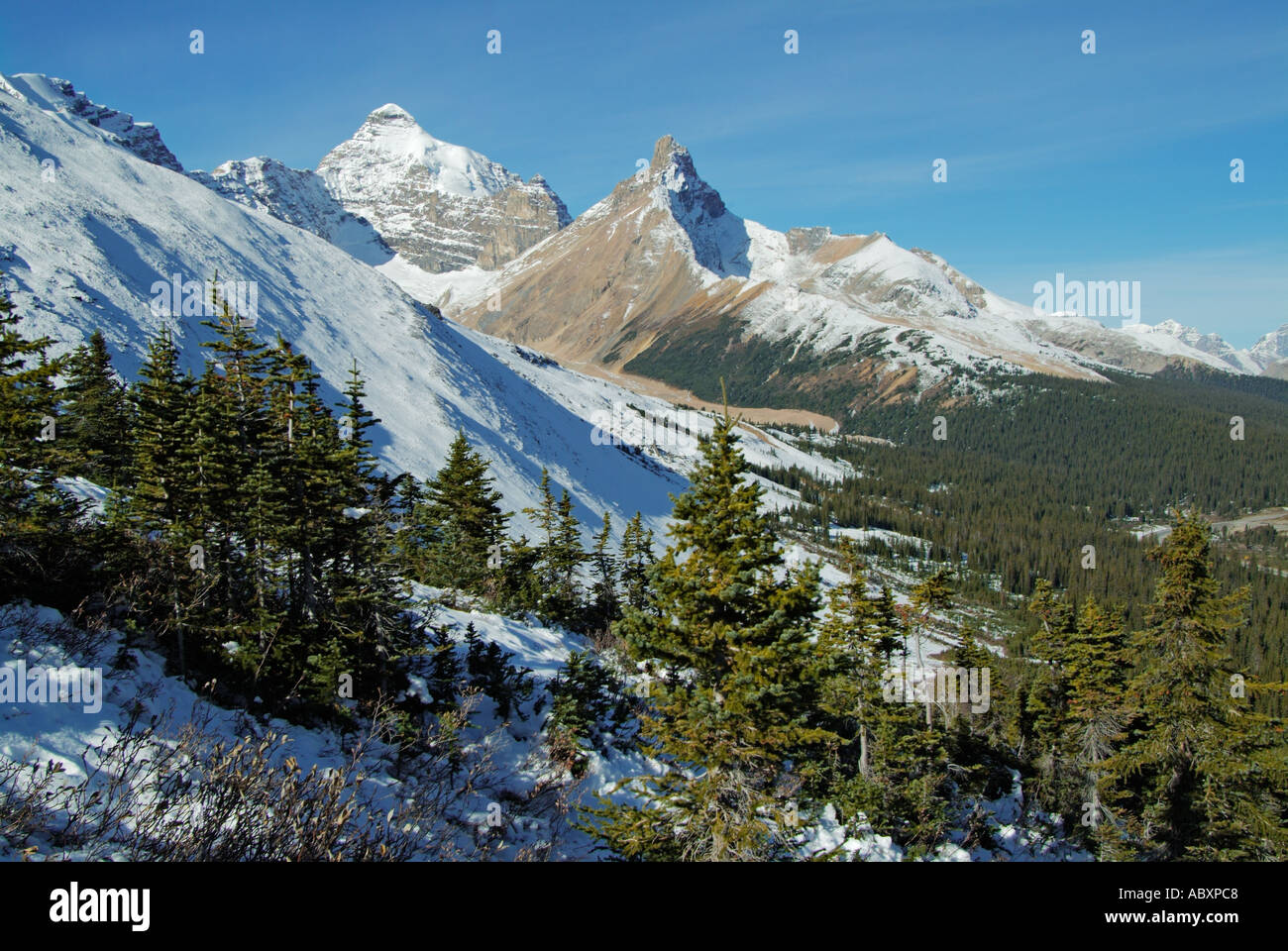 Looking at Mount Athabasca from Parker Ridge Icefields Parkway Jasper ...