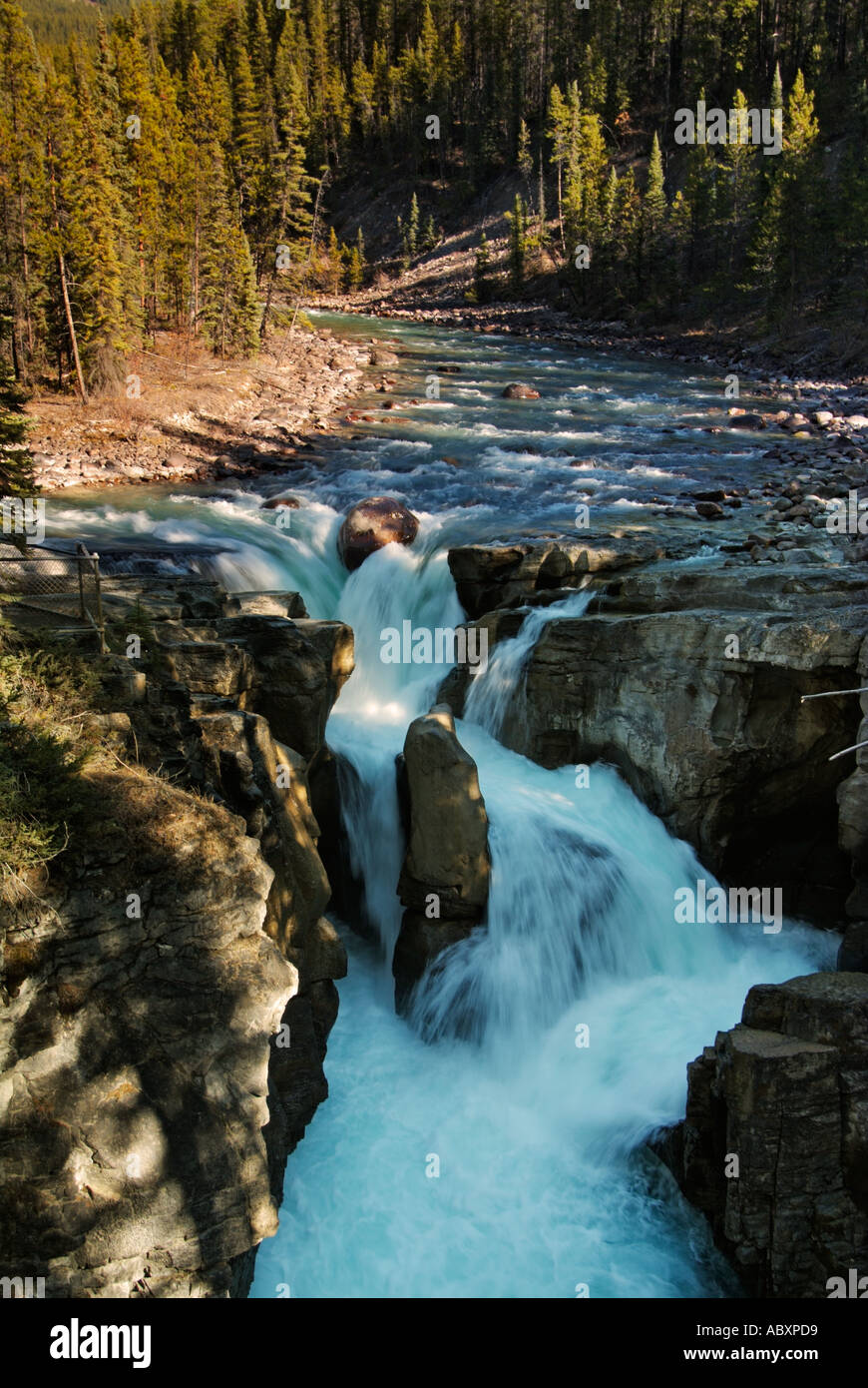 Sunwapta valley hi-res stock photography and images - Alamy