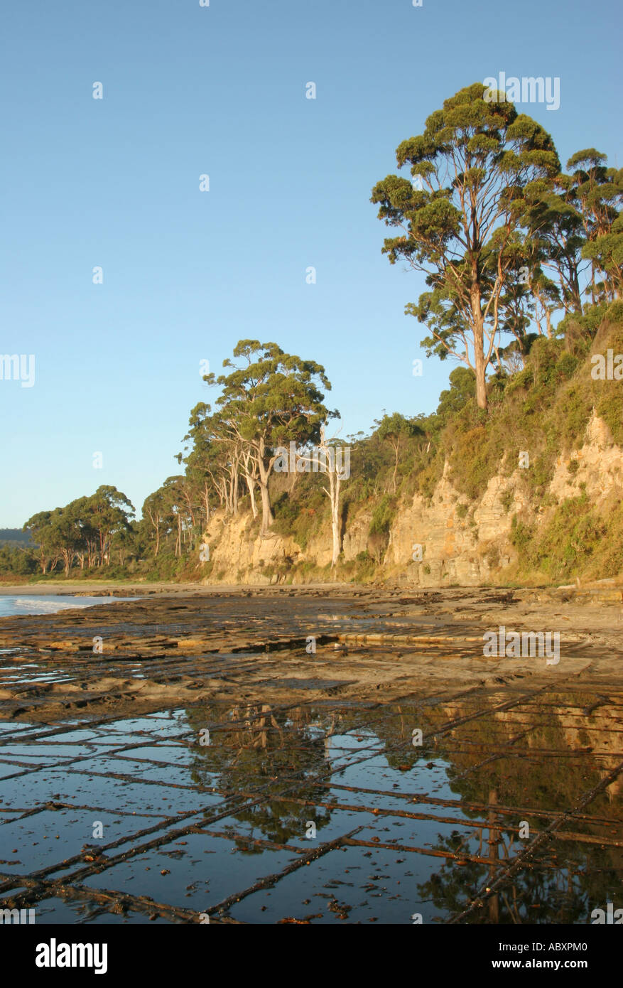 The Tessellated Pavements a geological formation on the Tasman ...