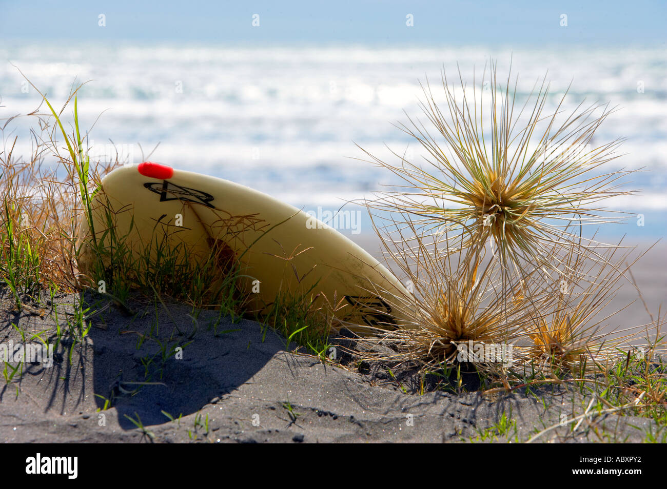 Surf board on beach Stock Photo - Alamy