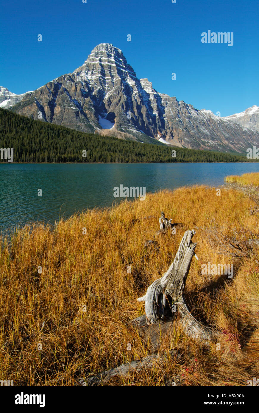 Howse peak banff national park hi-res stock photography and images - Alamy