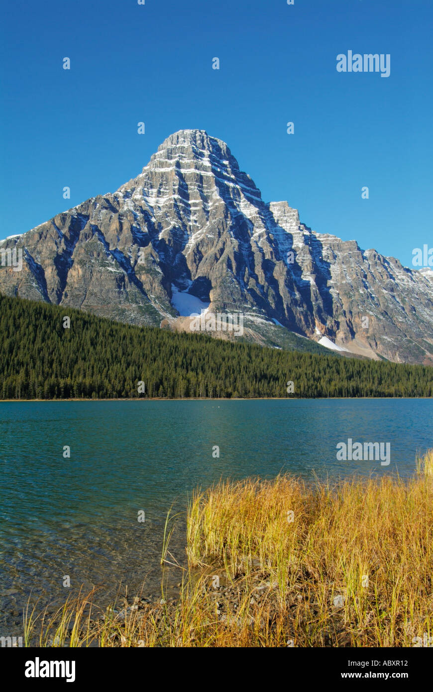Mount Chephren from Waterfowl lakes Icefields parkway Banff national ...