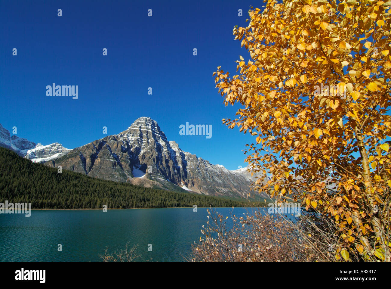 Mount Chephren from Waterfowl lakes Icefields parkway Banff national ...