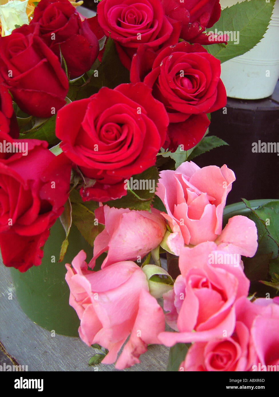Still Life of a Bunch of Roses Viewed From Above Stock Photo - Alamy