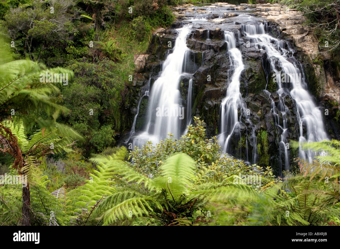 Karangahake falls hi-res stock photography and images - Alamy