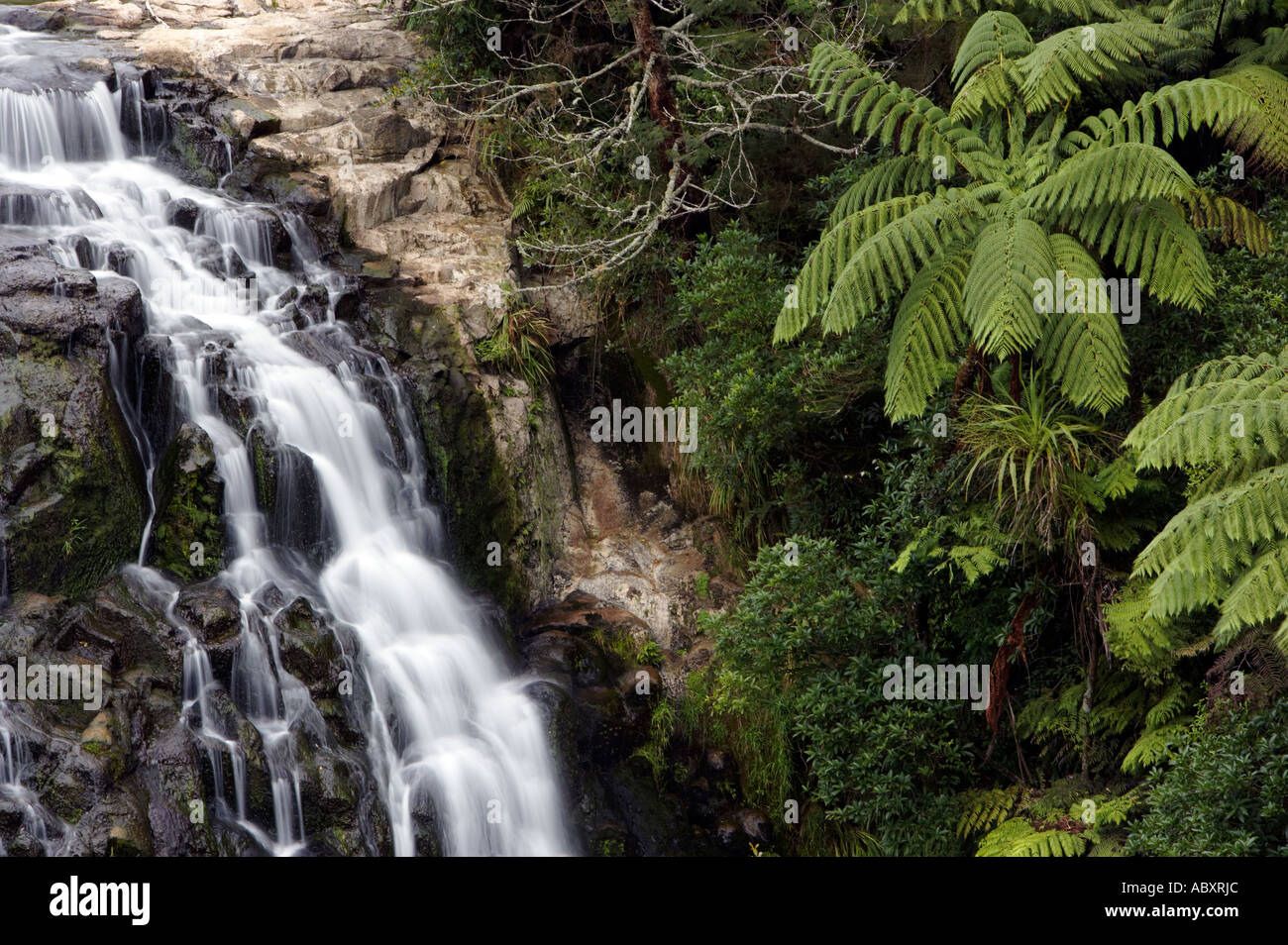 Karangahake gorge waterfall hi-res stock photography and images - Alamy