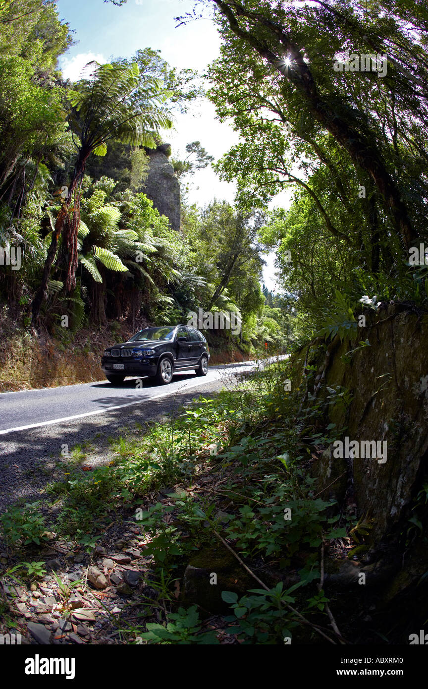 Driving through native forest near Arapuni Waikato New Zealand Stock ...