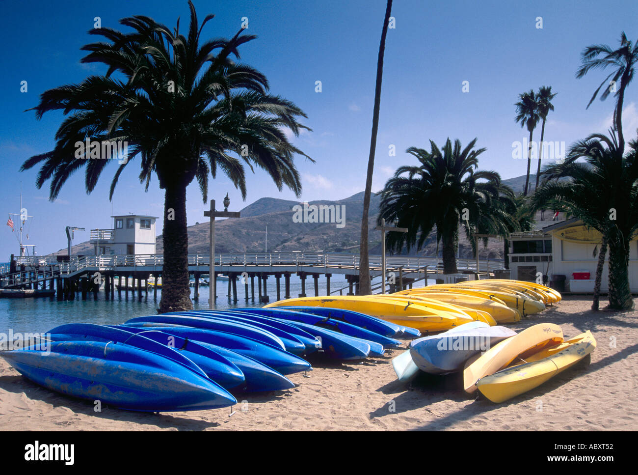 Sea Kayaks pier and palm trees on sand beach at Two Harbors Catalina ...