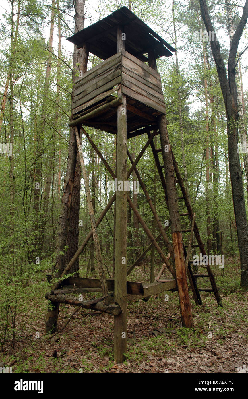 Forest in Nadbuzanski Landscape Park also called The Bug River Valley ...