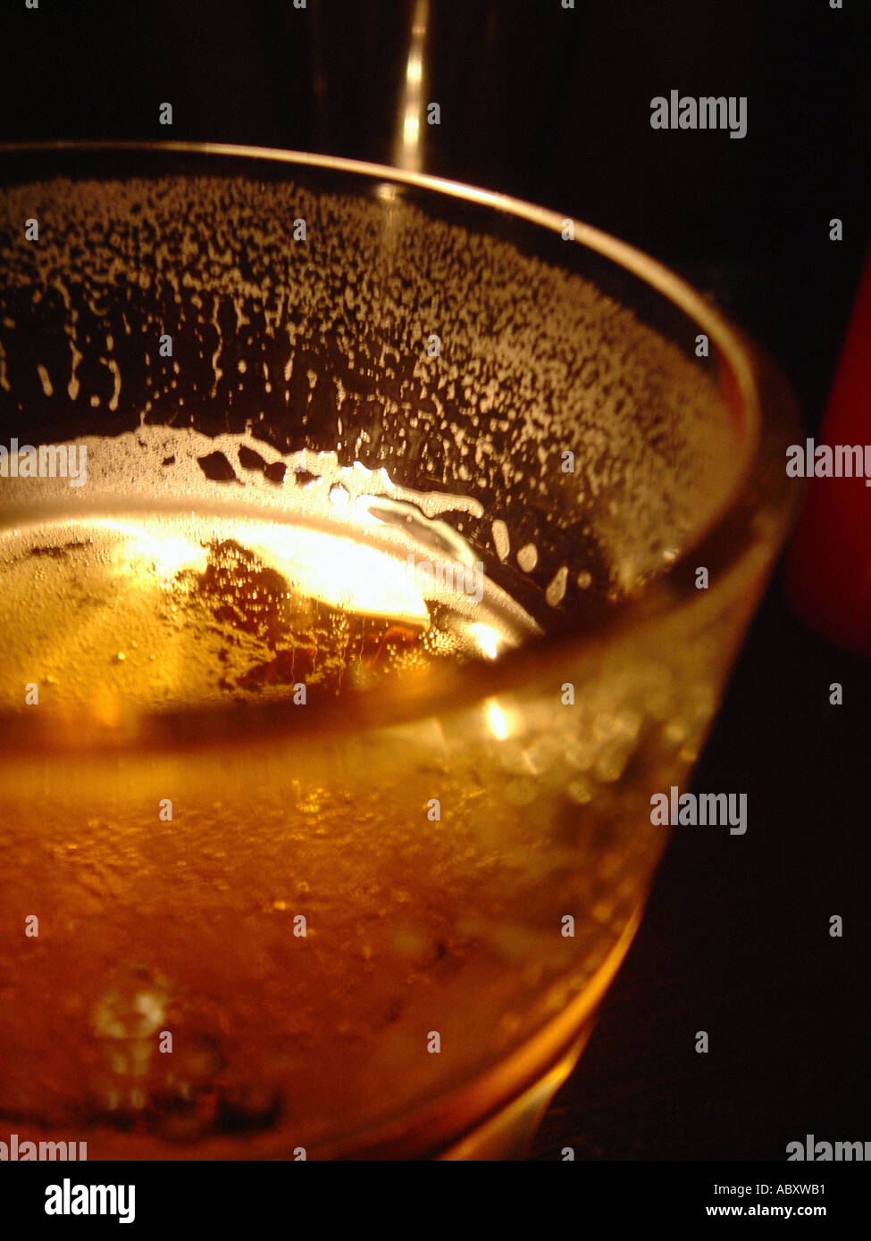 Still Life of a Closeup of a Glass Pint of Beer Backlit by a Candle ...