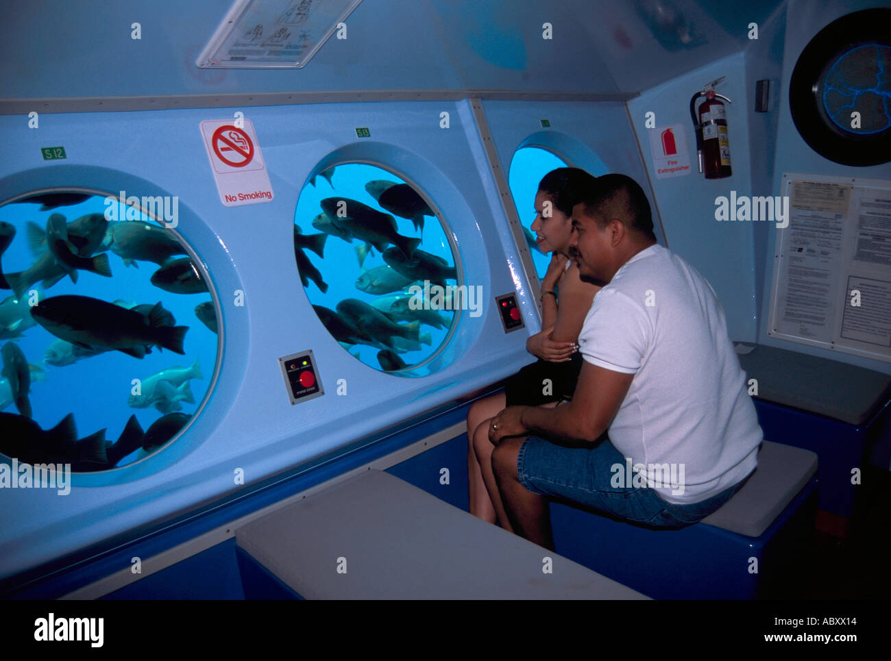 Young hispanic couple on undersea tourist boat looking at fish through ...