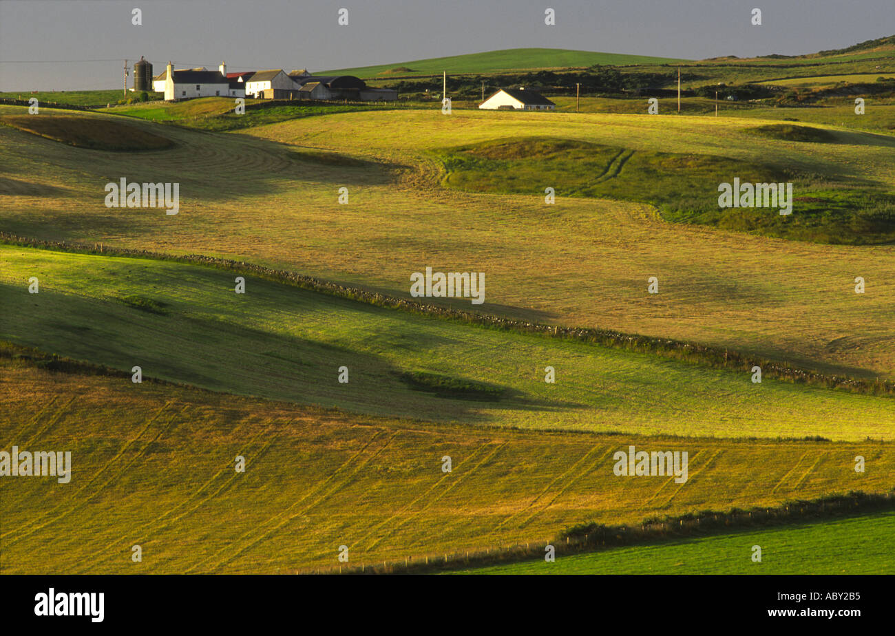 Agricultural landscape of the Rhins of Galloway Gentle rolling hills ...
