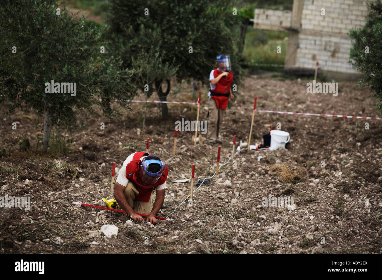 Male Lebanese cluster bomb searcher at work Stock Photo - Alamy