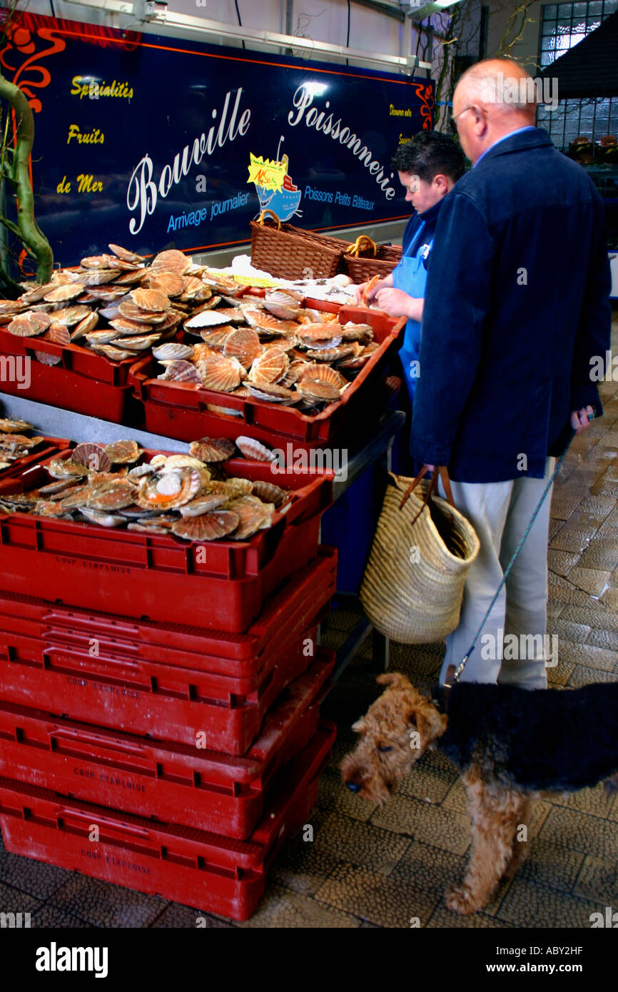 Customer with dog at a Fish Stall in the Market of Le Touquet Pas de ...