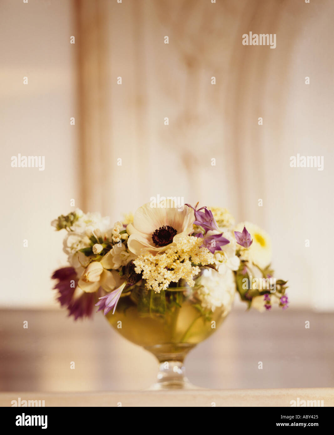Night scented stocks hi-res stock photography and images - Alamy