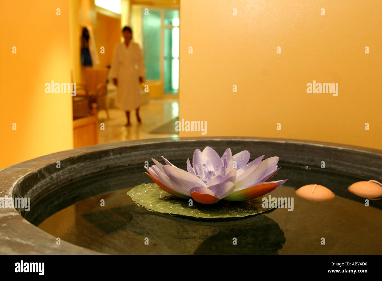 Flower floating in a fountain of a wellness spa Stock Photo - Alamy
