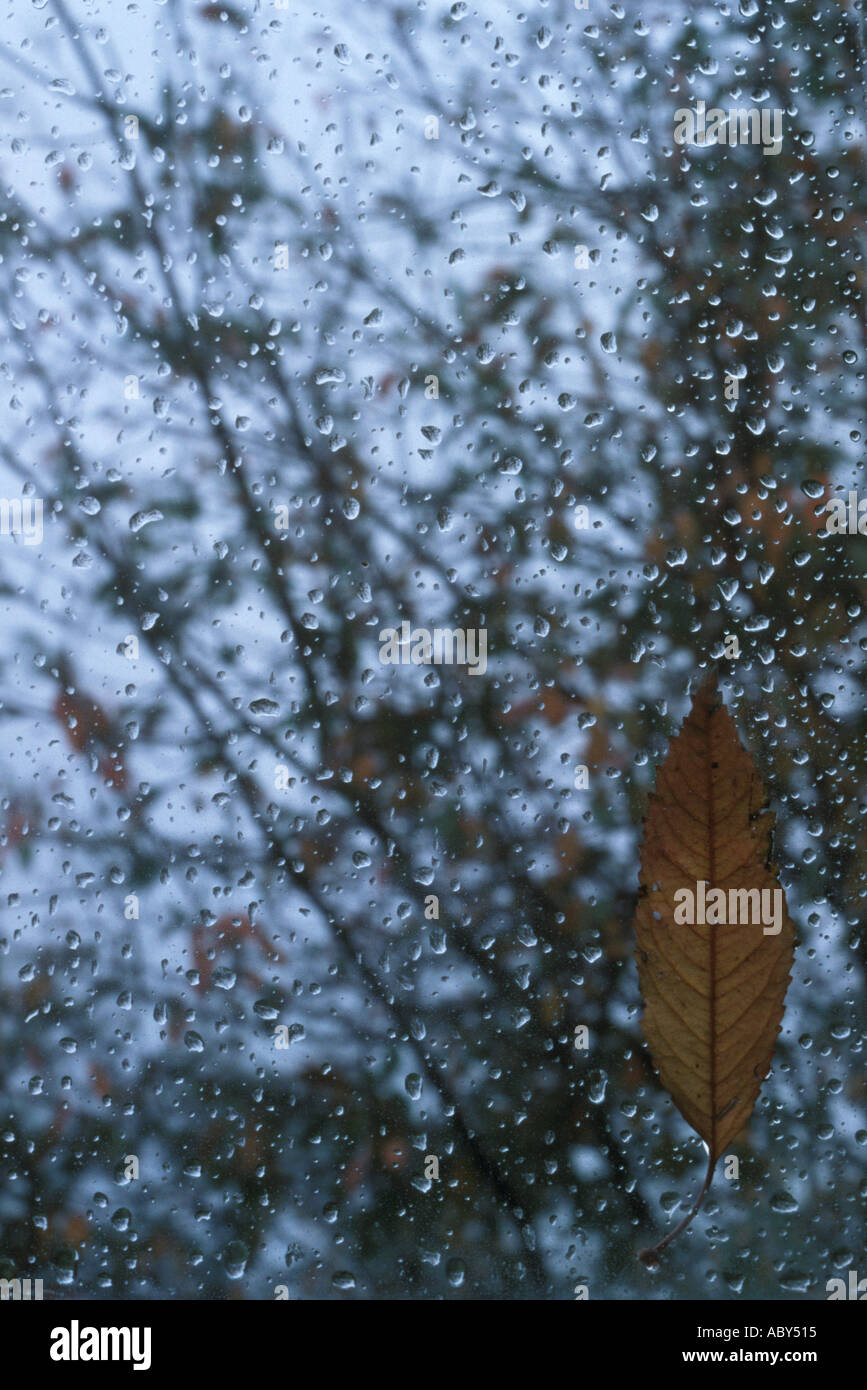 Single pane window hi-res stock photography and images - Alamy