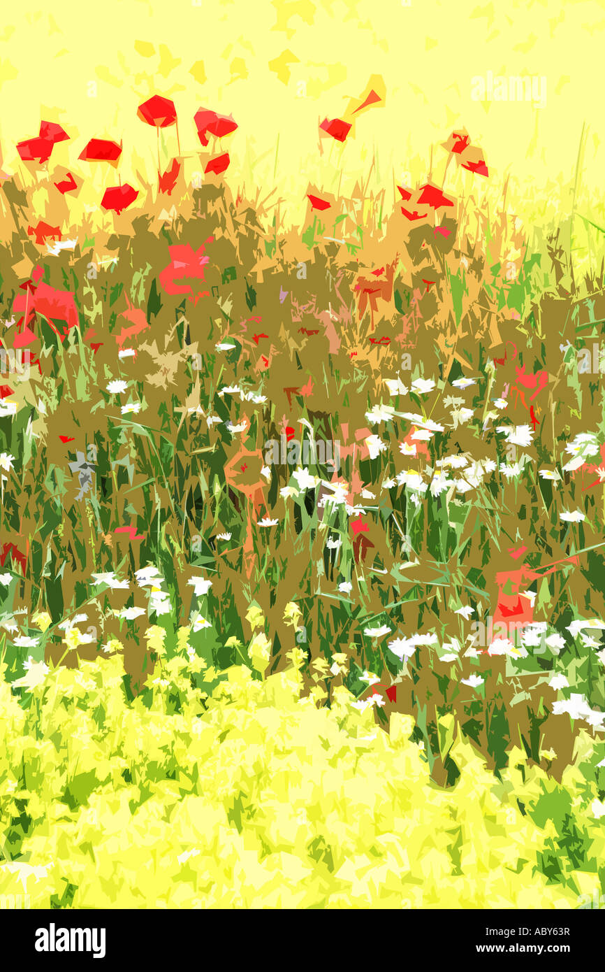 Wild flowers ,abstract design of poppies and assorted wild flowers ...