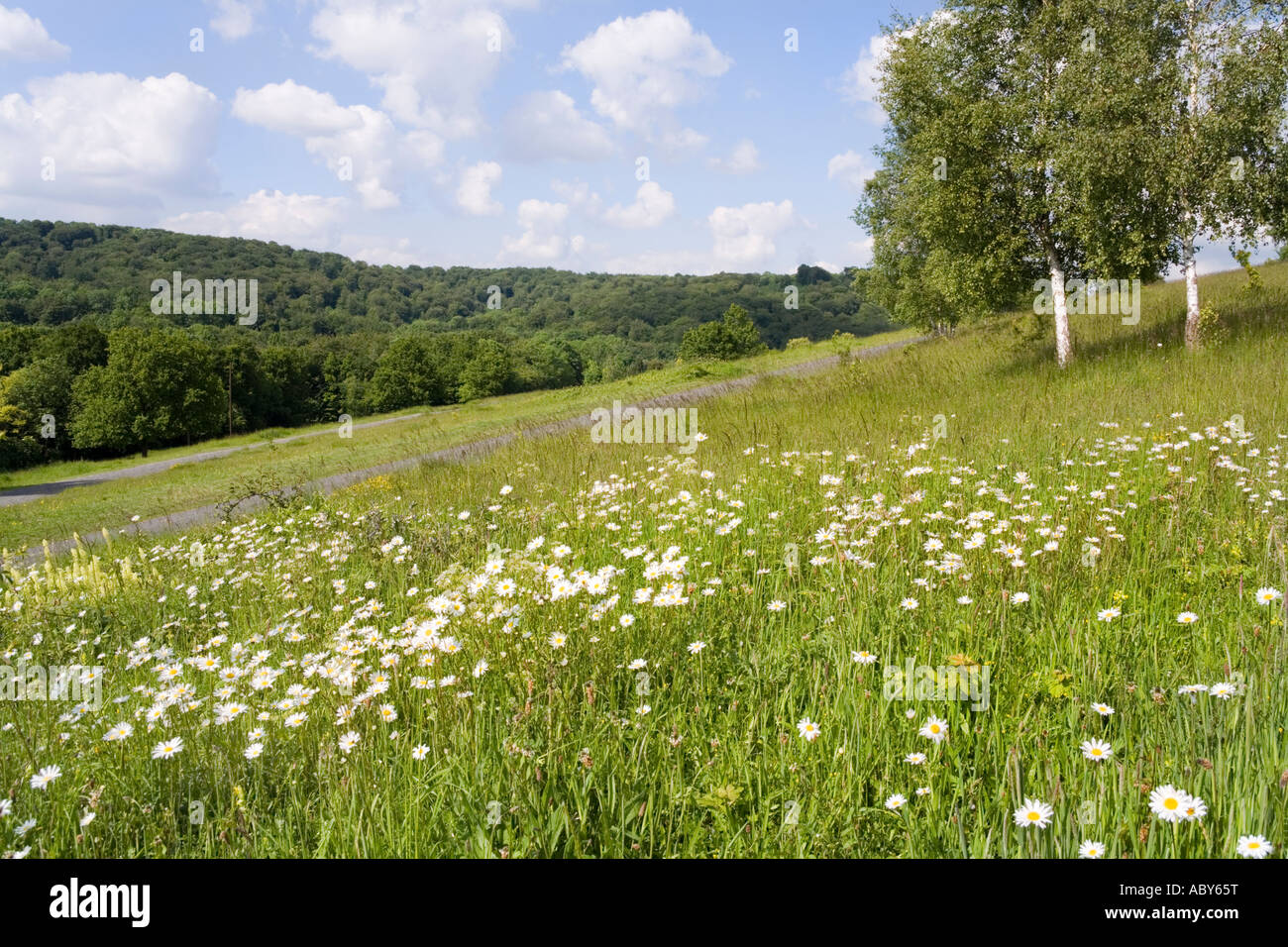 Cranham common hi-res stock photography and images - Alamy