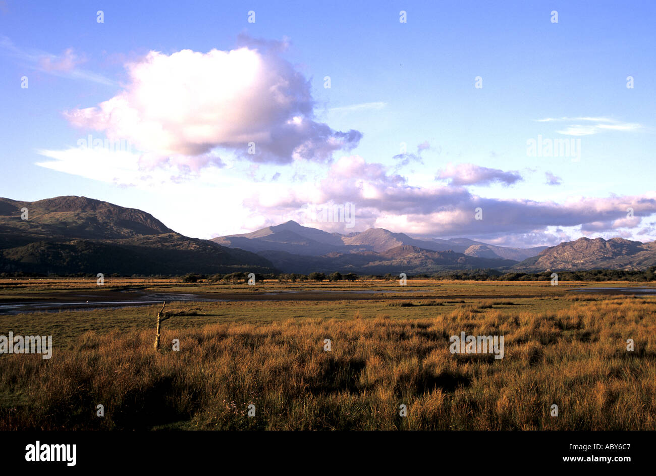 PORTHMADOG GWYNEDD WALES UK September Corsyff Afon Glaslyn Marshes from ...