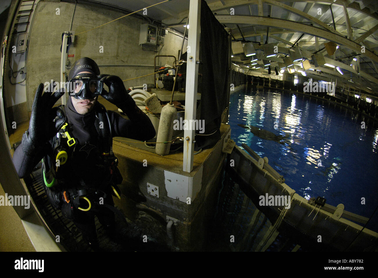 Behind the scenes preparing for a dive tank salt water flow ...