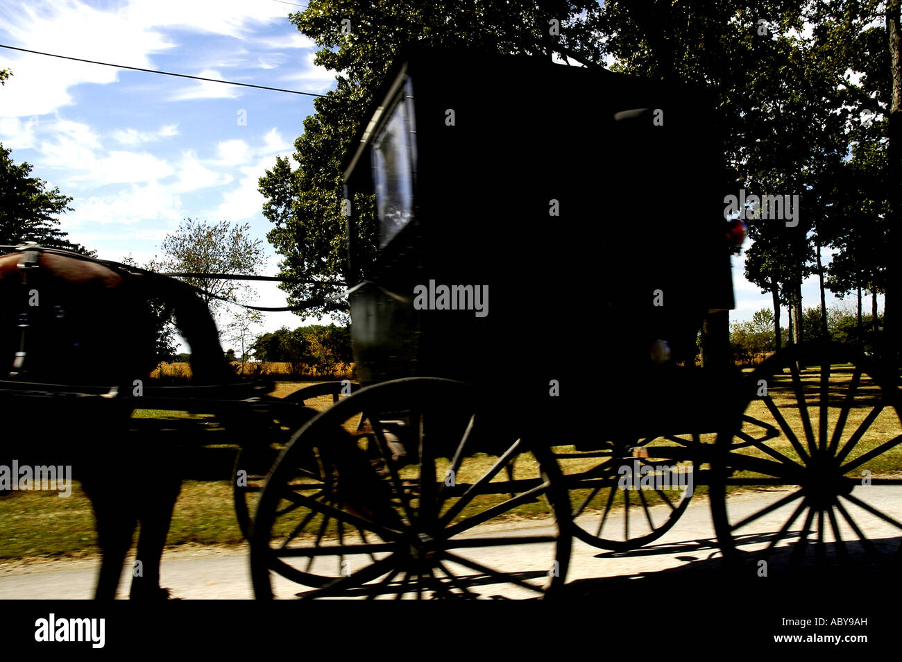Amish, Carriage, Mammal, Transportation, Animals, Horse, Pulling ...