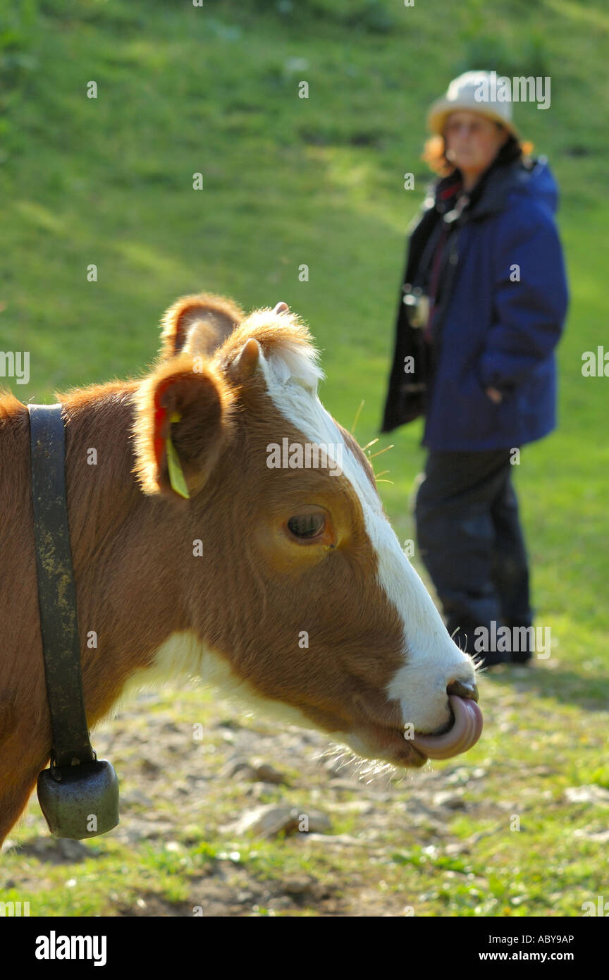 Humour wierd hi-res stock photography and images - Alamy