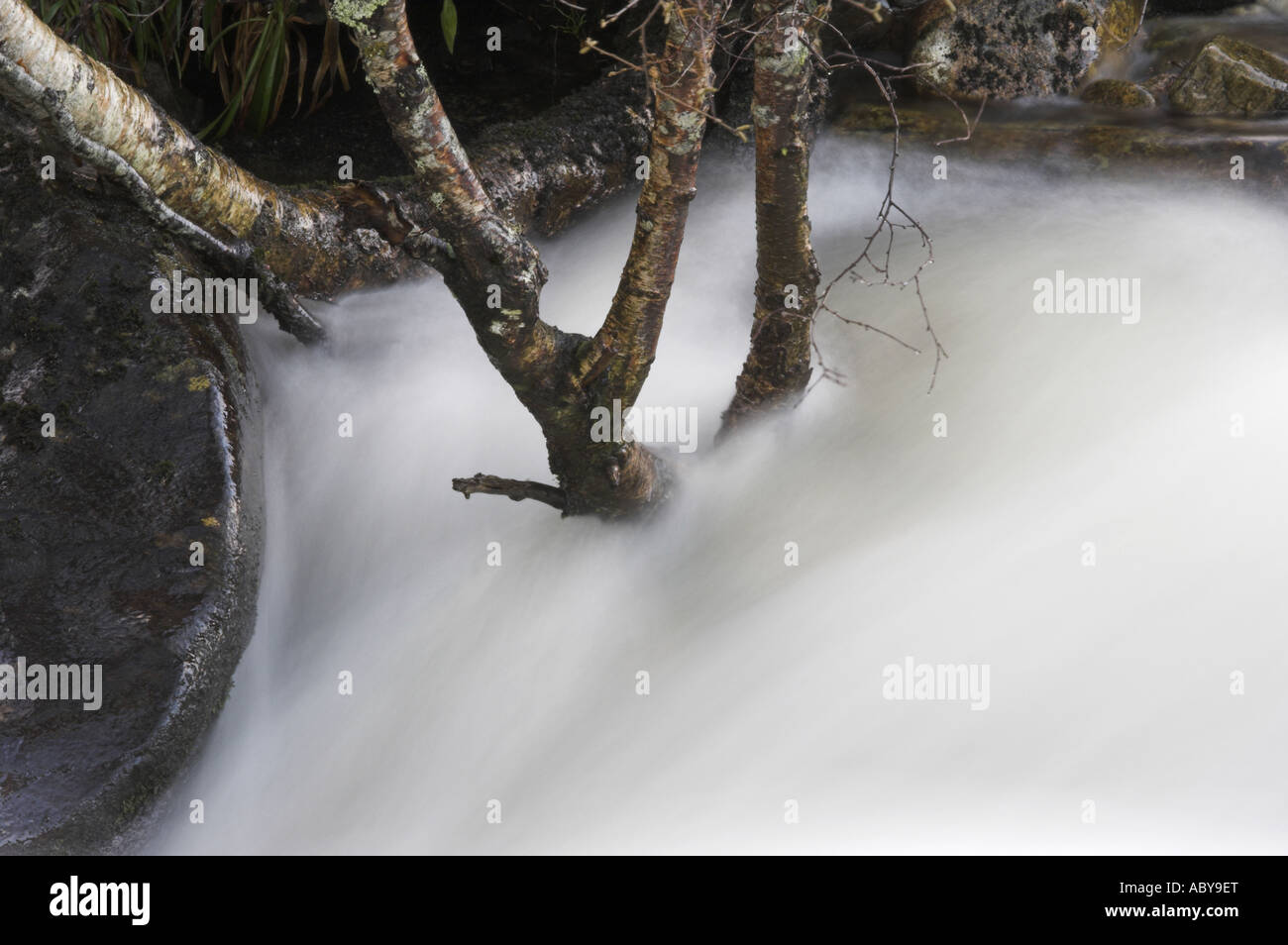 A Cairngorm river in spate, the River Quoich near Braemar, Scotland ...