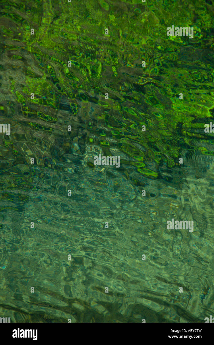 Plants over water hi-res stock photography and images - Alamy