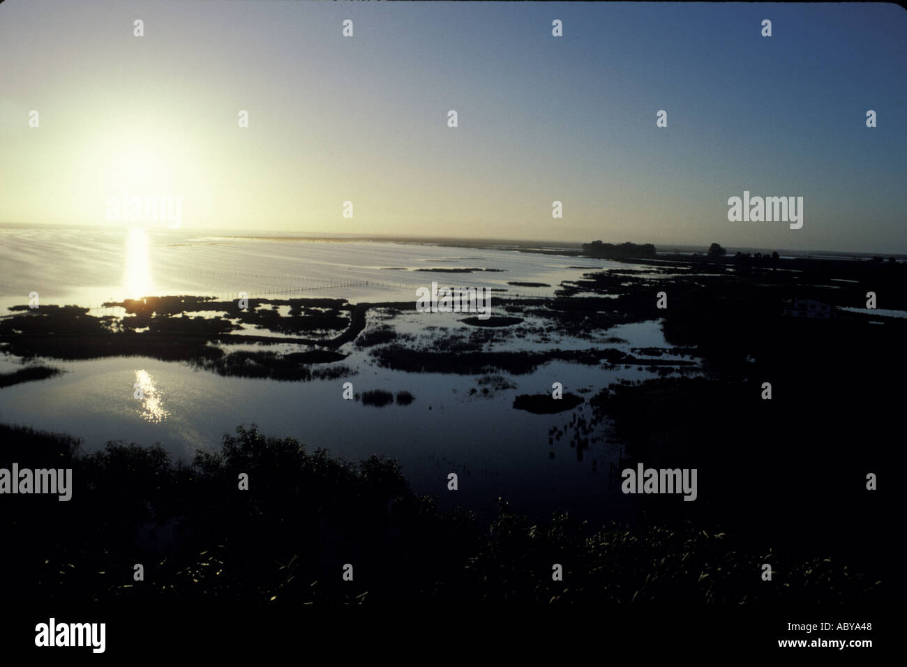 salt marsh Doñana National Park Huelva Andalusia Spain Sanz VISUAL ...