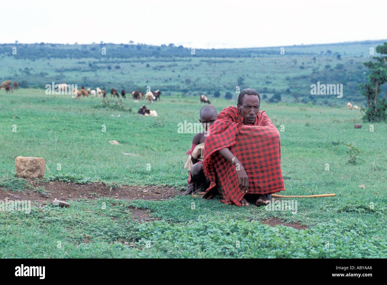 AFRICA KENYA Masai Mara National Reserve Masai warrior in traditional ...