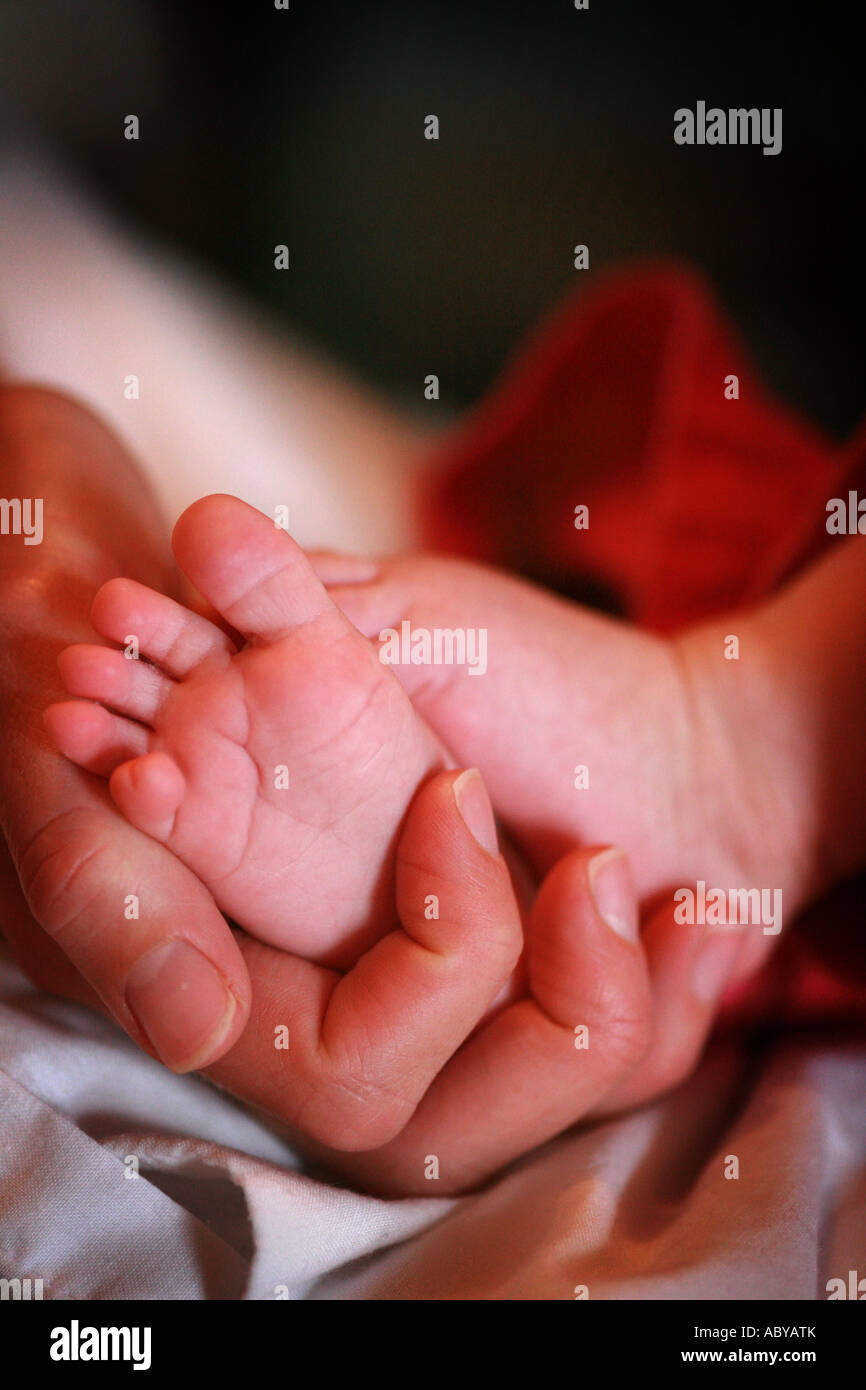 A mother holds the delicate tiny small miniature feet of her newborn ...