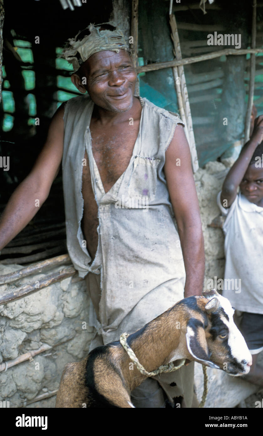Heifer international goat hi-res stock photography and images - Alamy