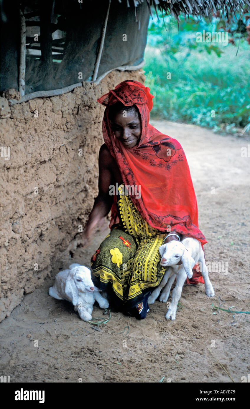 AFRICA KENYA DIGO Muslim woman with her Heifer Project International ...
