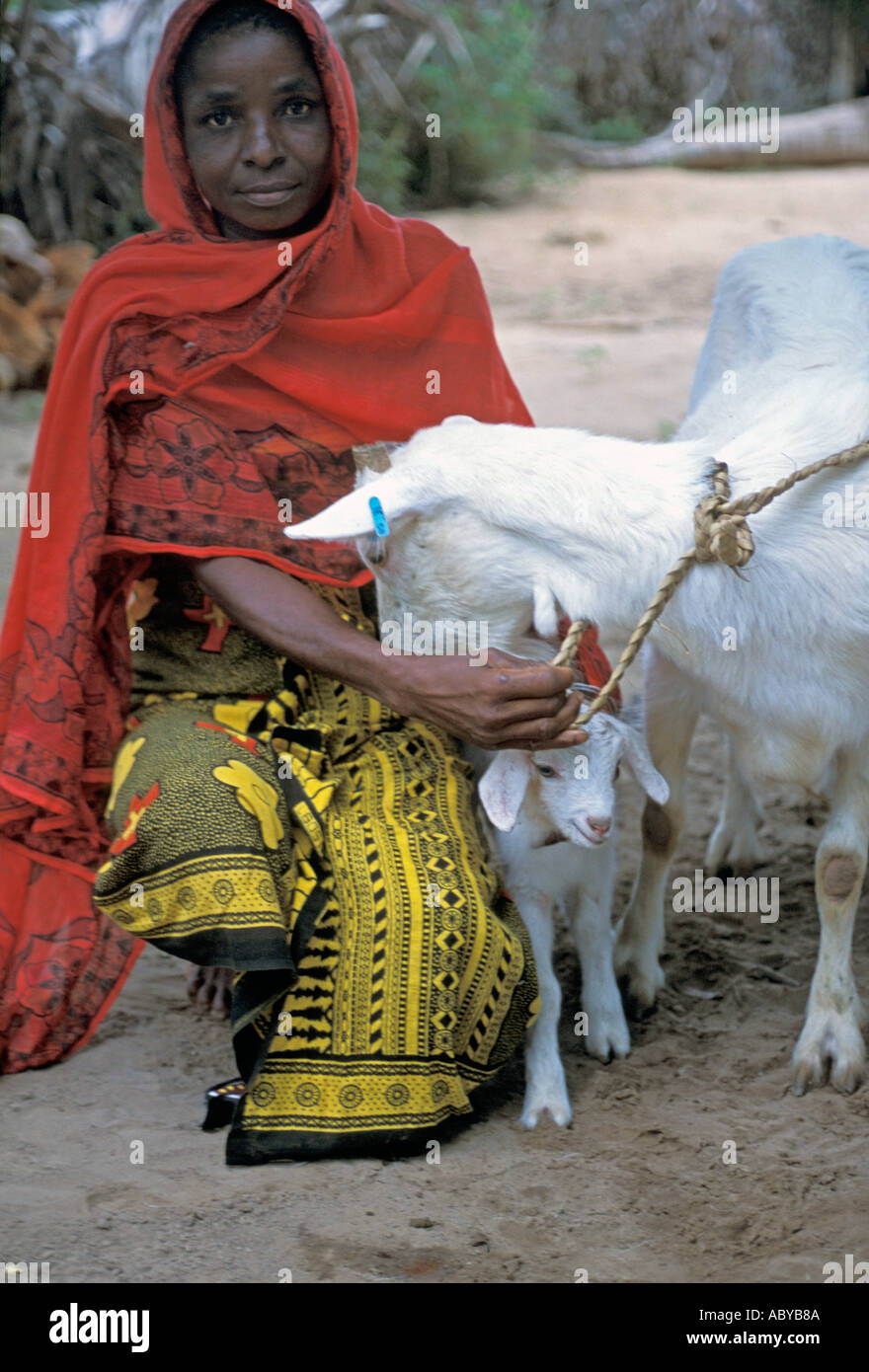 AFRICA KENYA DIGO Muslim woman with twin goats born to her Heifer ...