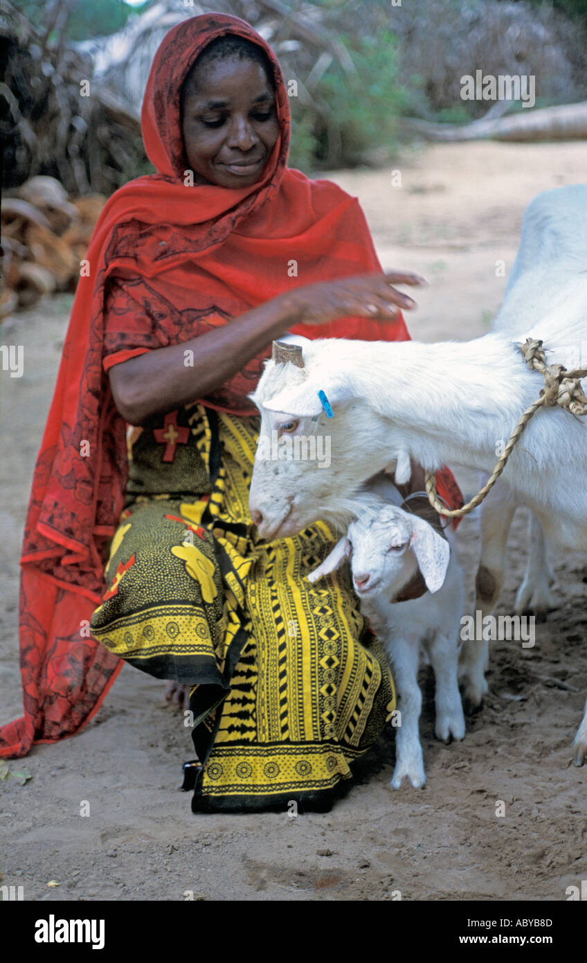 AFRICA KENYA DIGO Muslim woman with her Heifer Project International ...