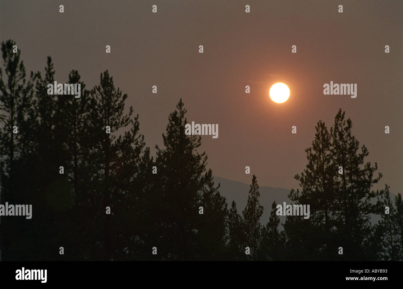 Sunset through forest fire smoke Stock Photo - Alamy