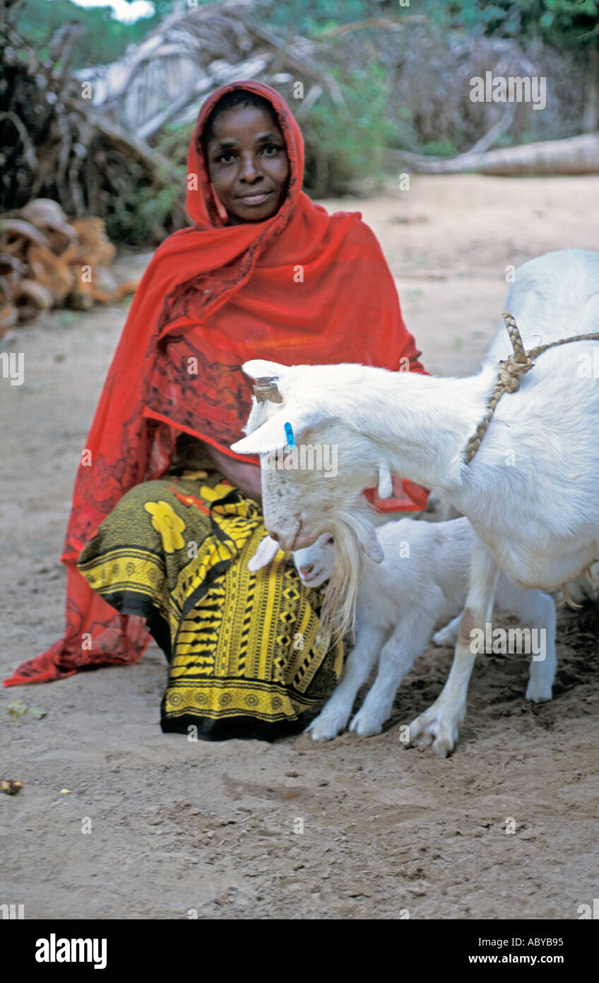 AFRICA KENYA DIGO Muslim woman with her Heifer Project International ...