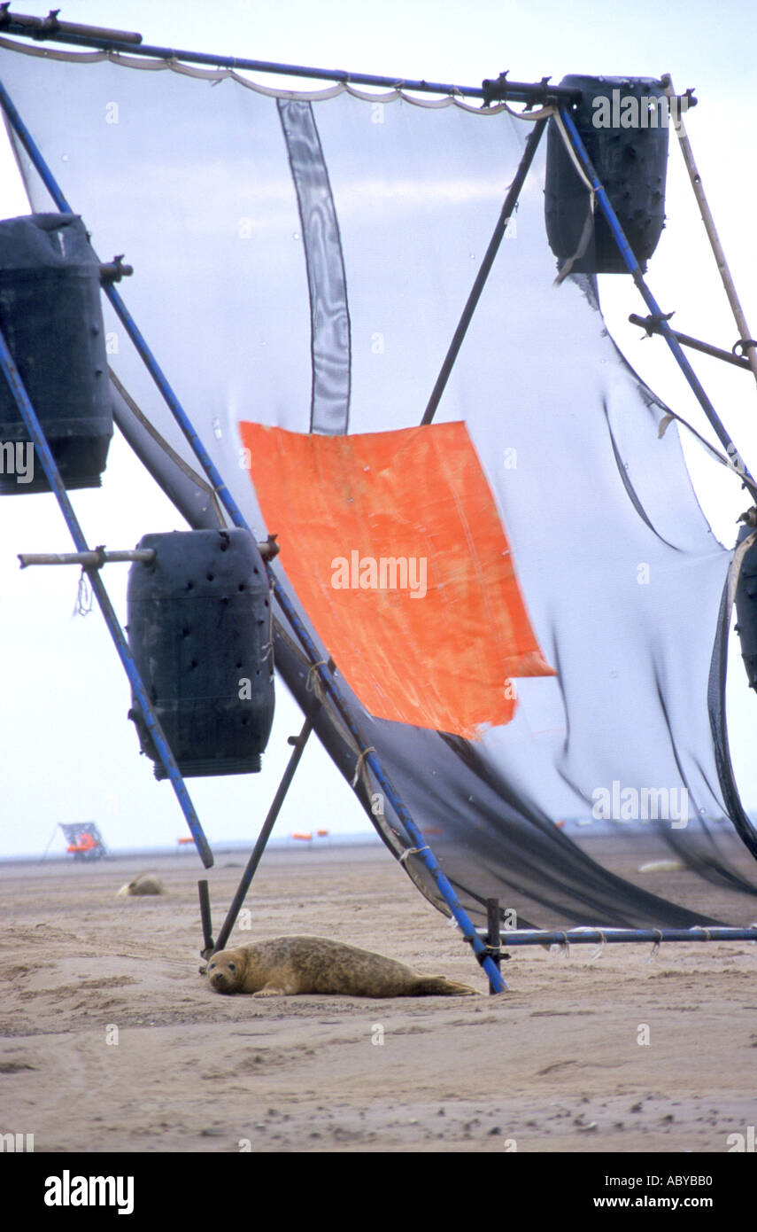 Bomb target and seal Stock Photo - Alamy