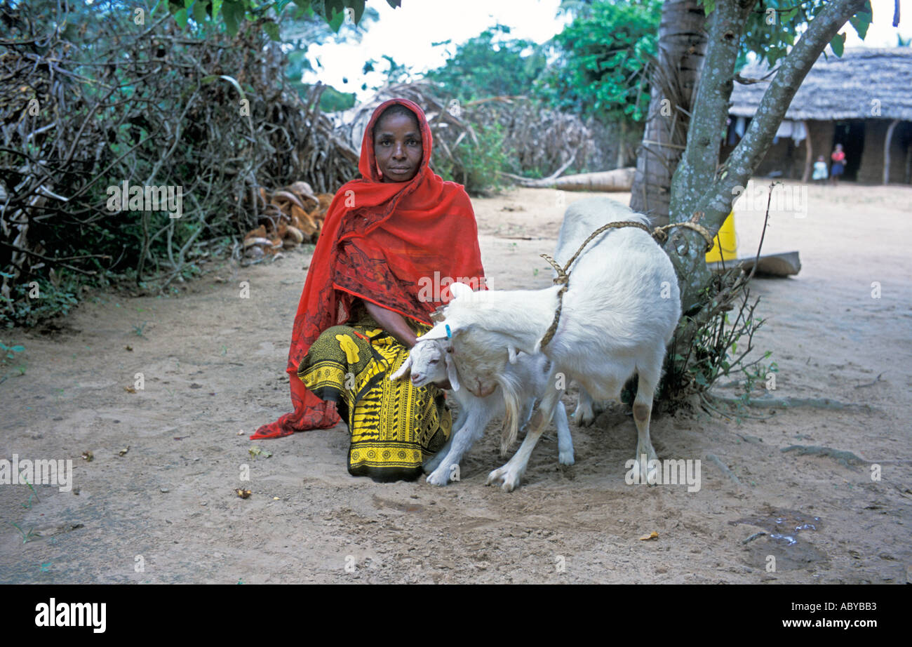 AFRICA KENYA DIGO Muslim woman with her Heifer Project International ...