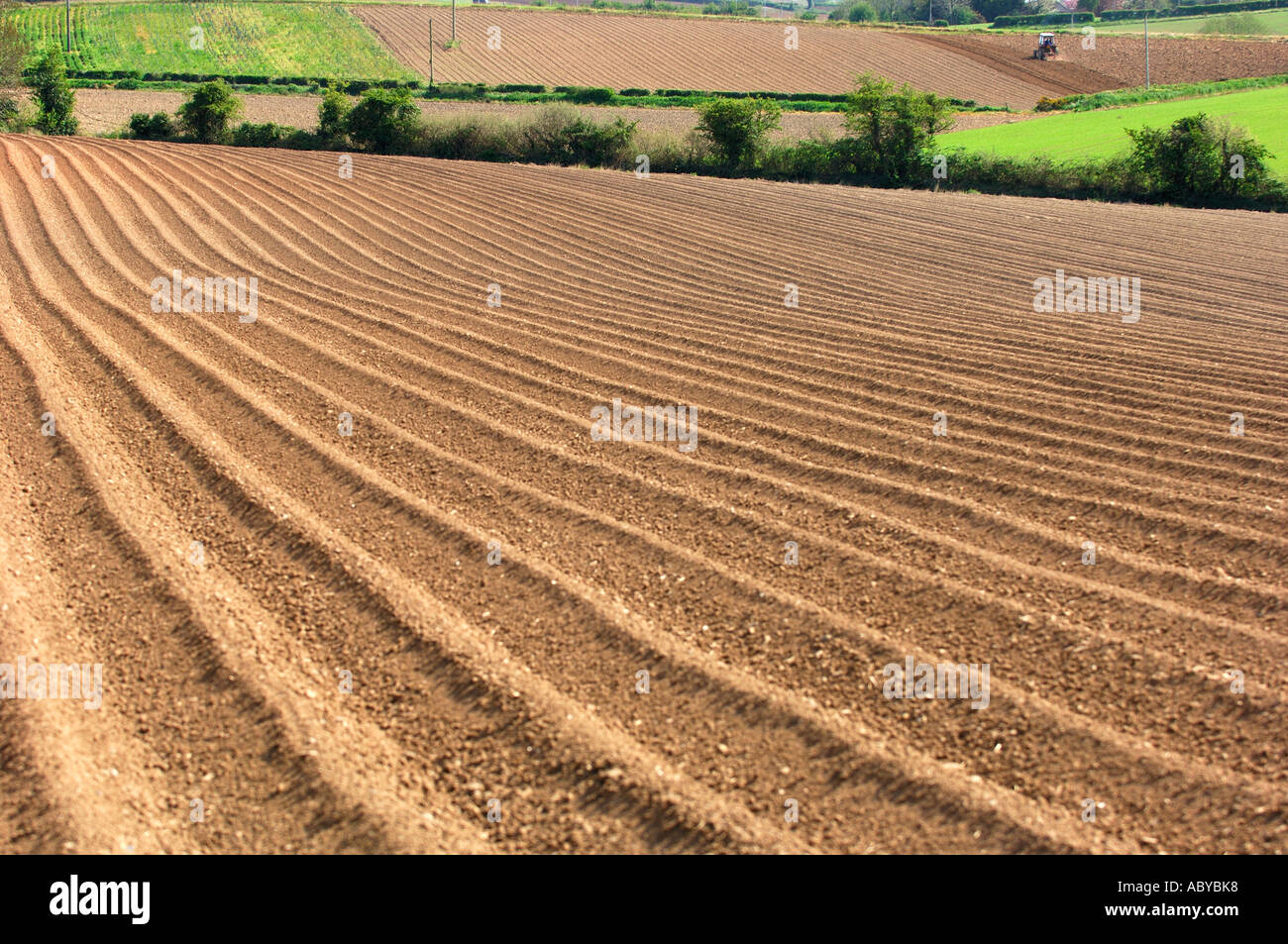Ploughed framing land hi-res stock photography and images - Alamy