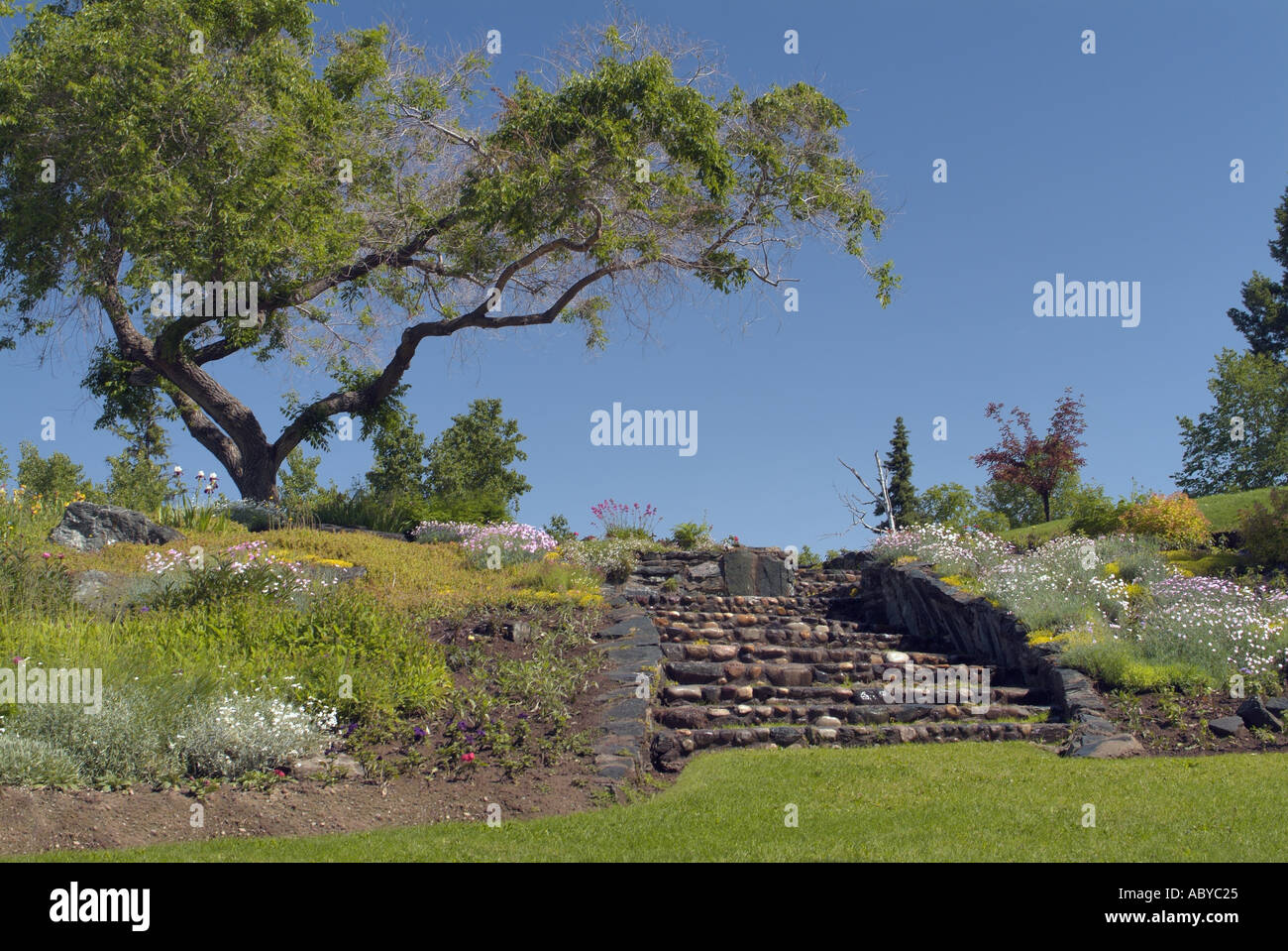 Connaught park spring hi-res stock photography and images - Alamy