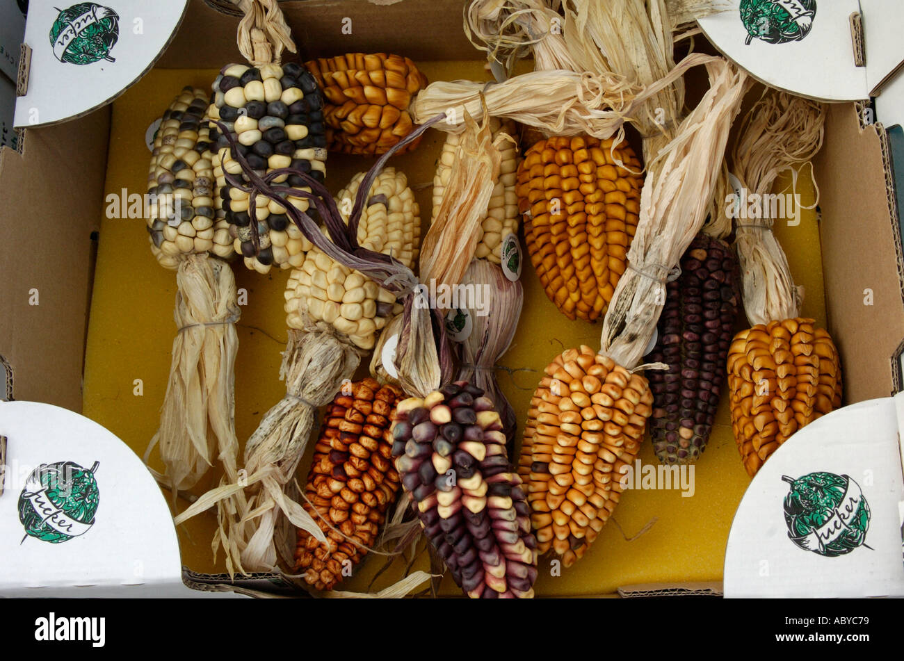 Decorative color corn inside box Stock Photo - Alamy