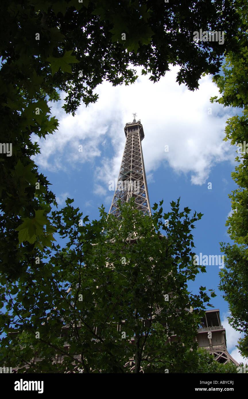 The Eiffel Tower, Paris, France, framed by trees - vertical/portrait ...