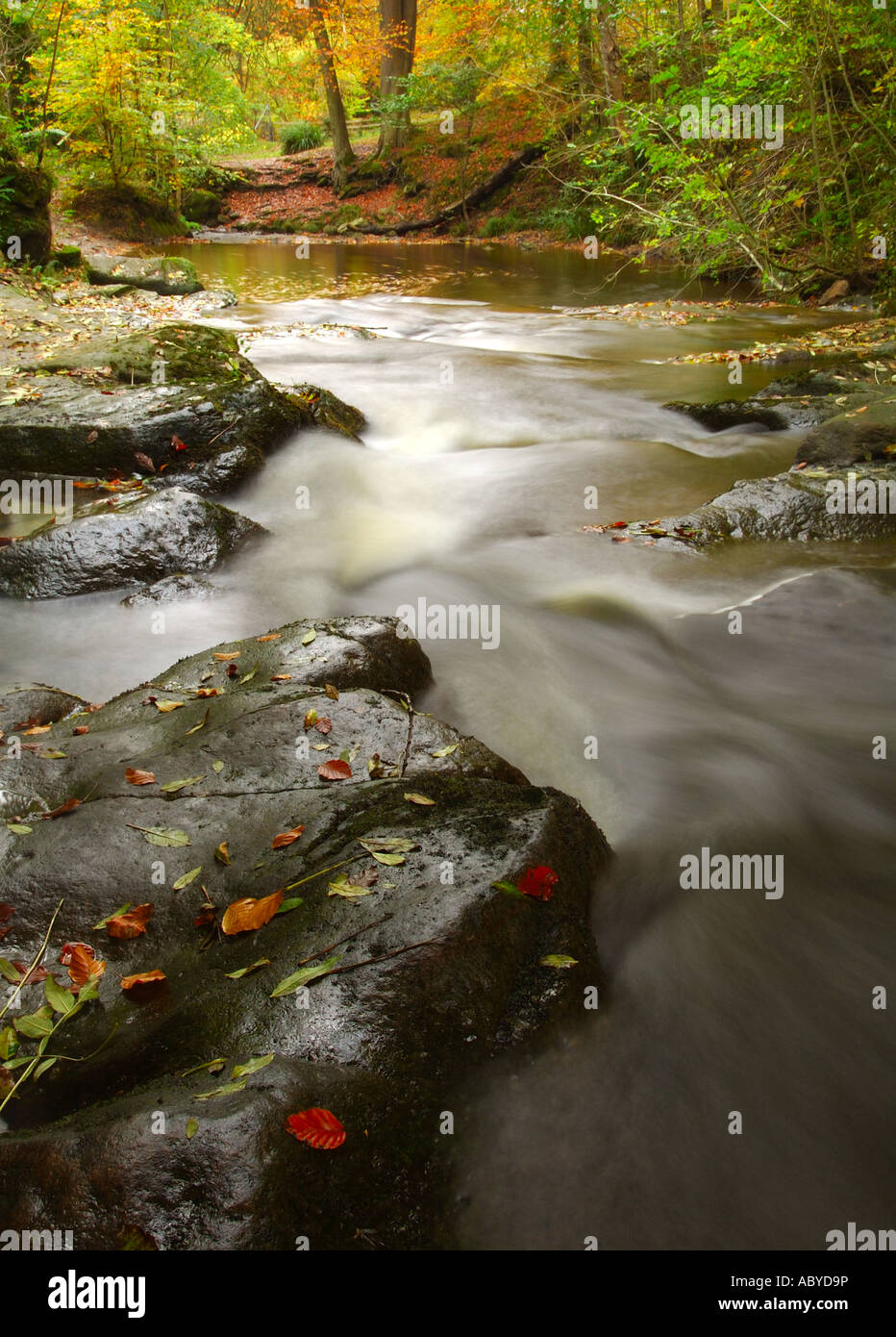 May Beck, Littlebeck Stock Photo - Alamy