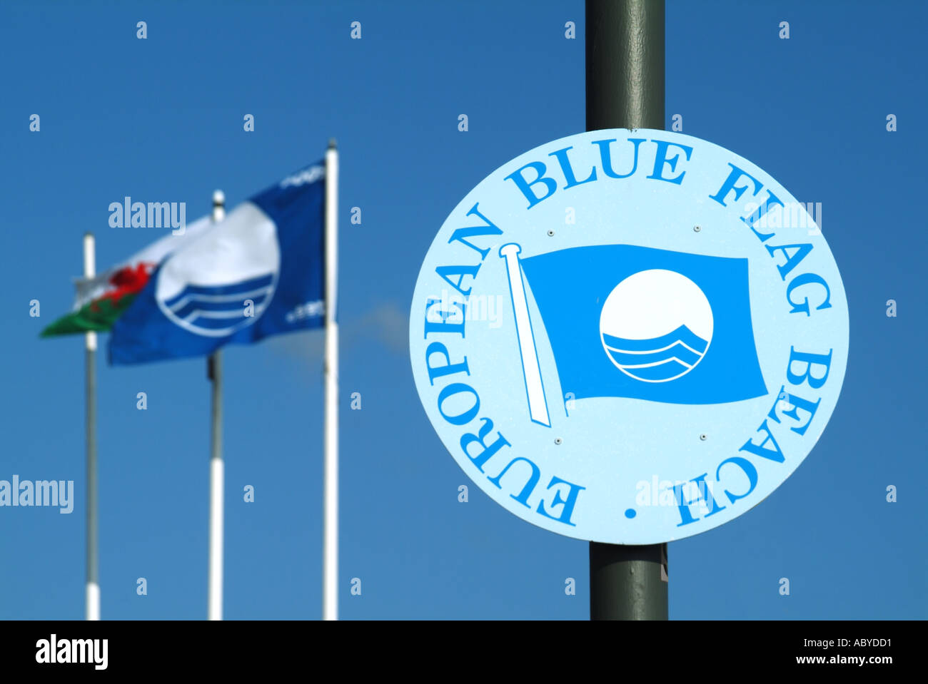 Barmouth European blue flag beach sign with flags beyond Stock Photo ...