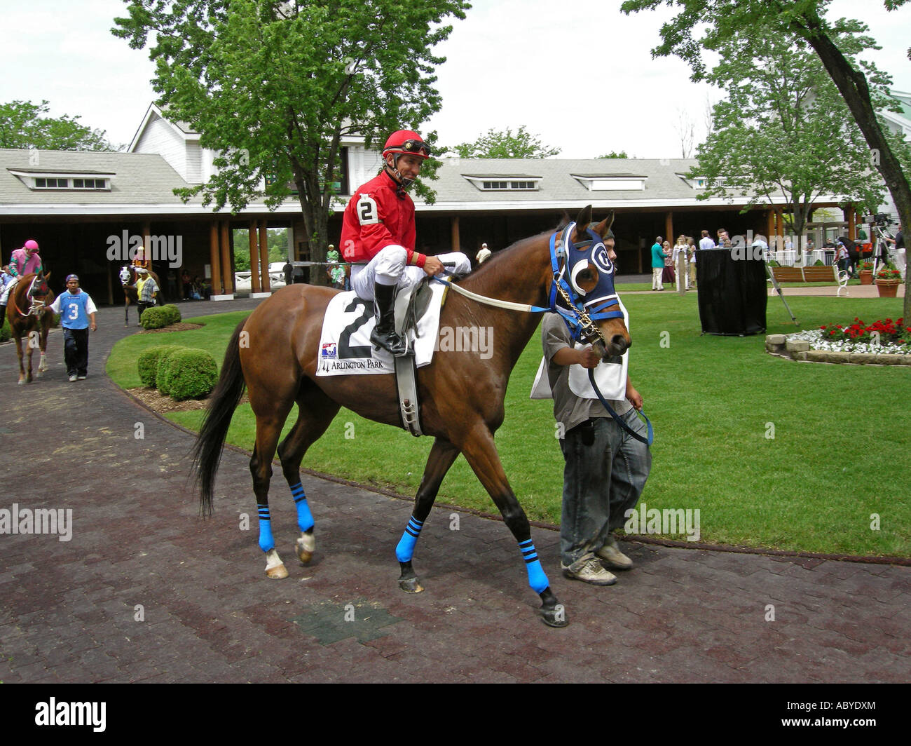 Thoroughbred & Jockey Stock Photo - Alamy